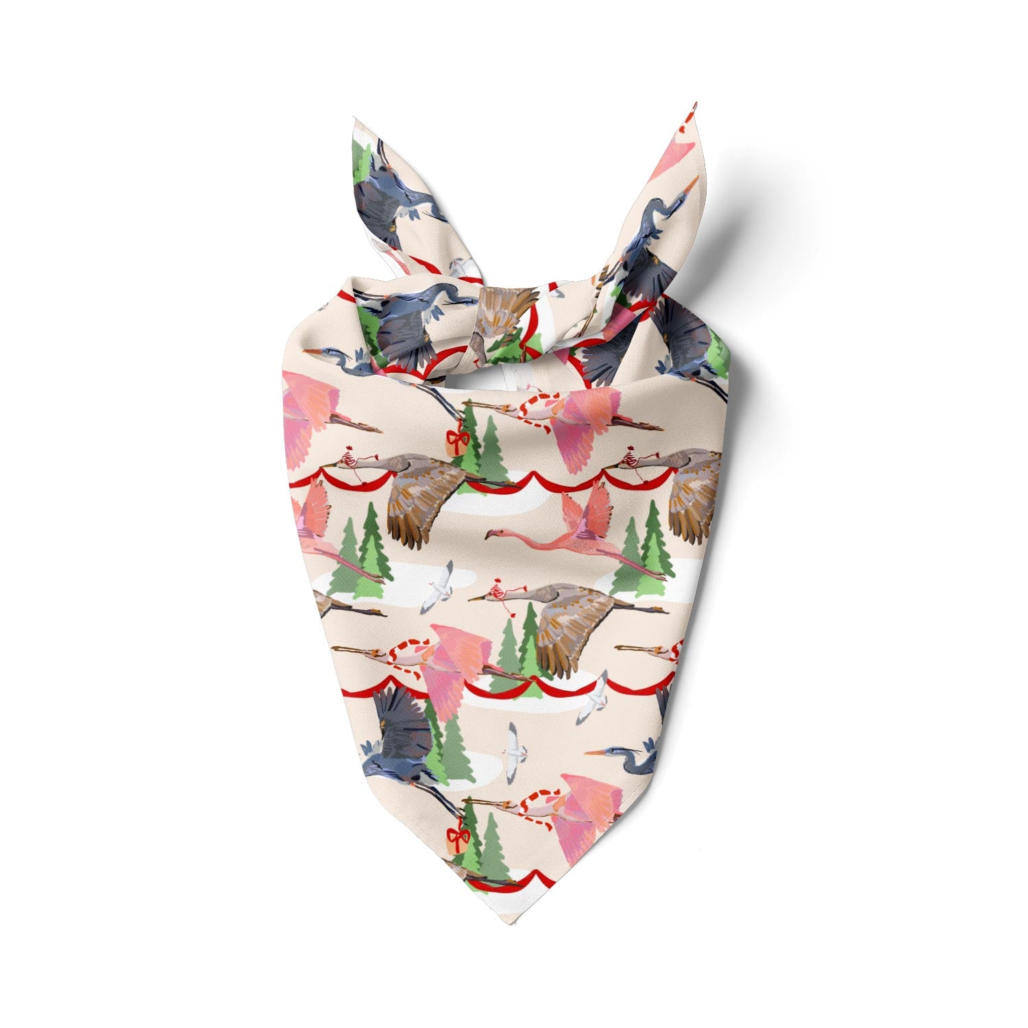 Florida Birds – Ferry Fancy