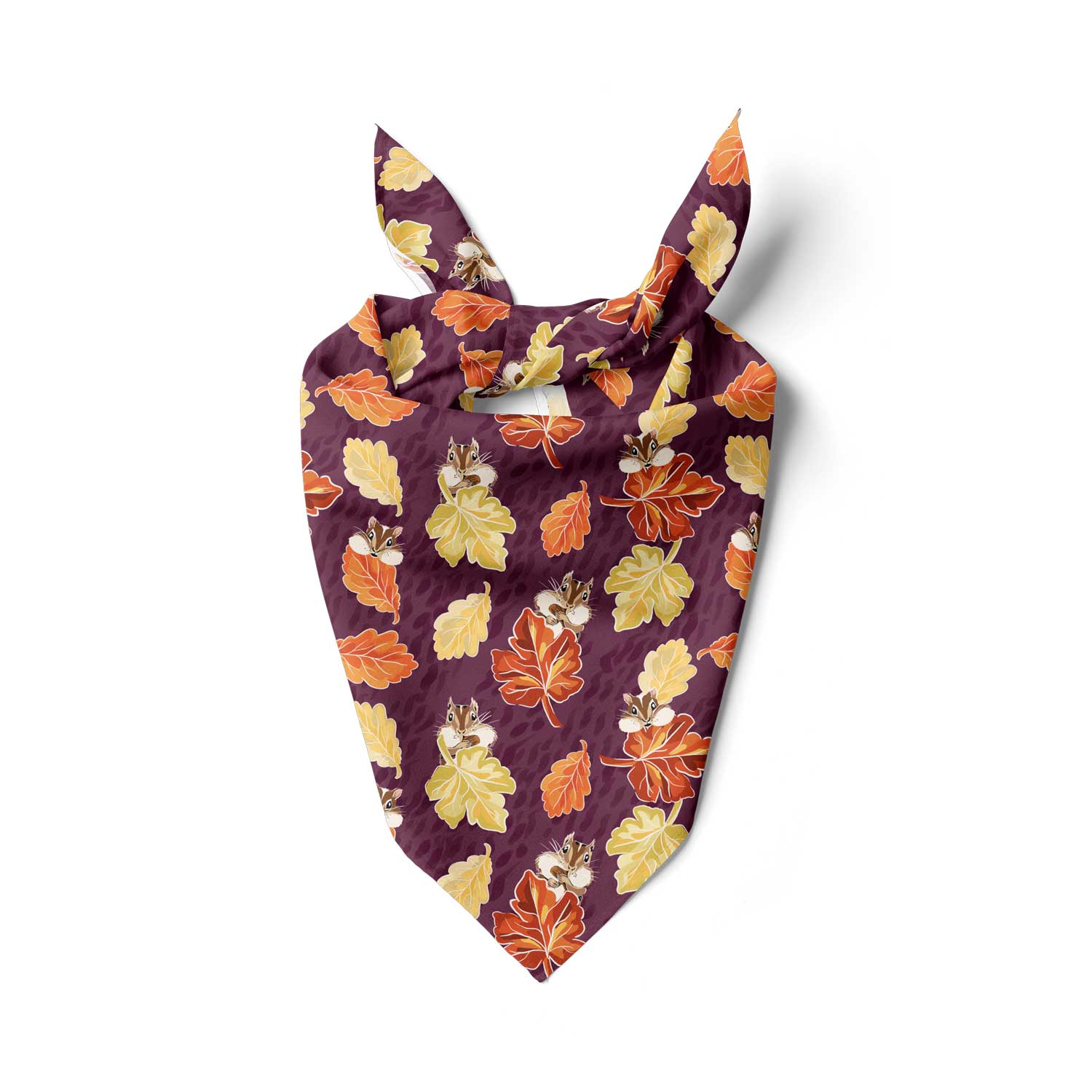 Chipmunk Football Bandana – Ferry Fancy
