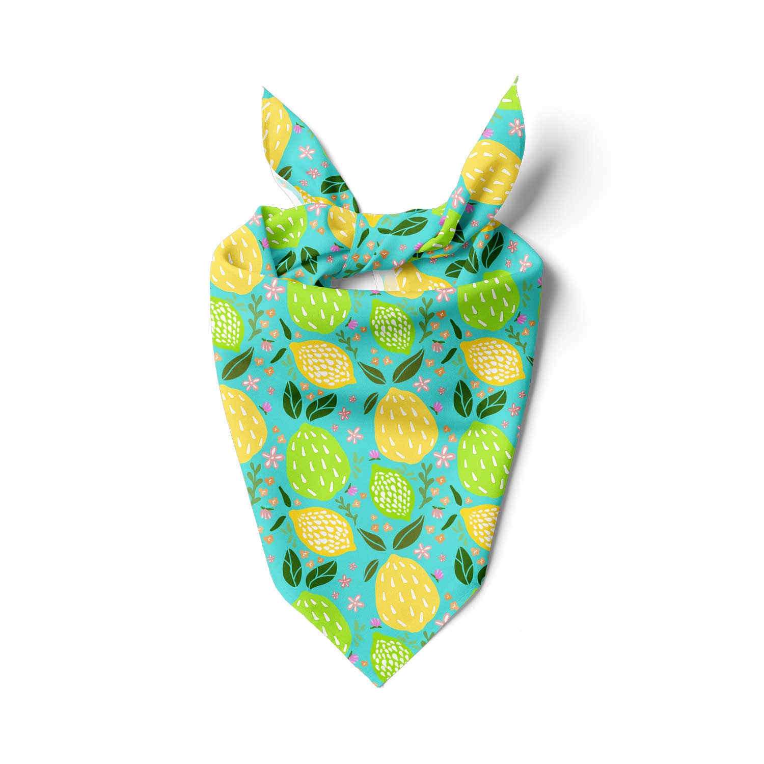 Tartacular Citrus Bandana – Ferry Fancy